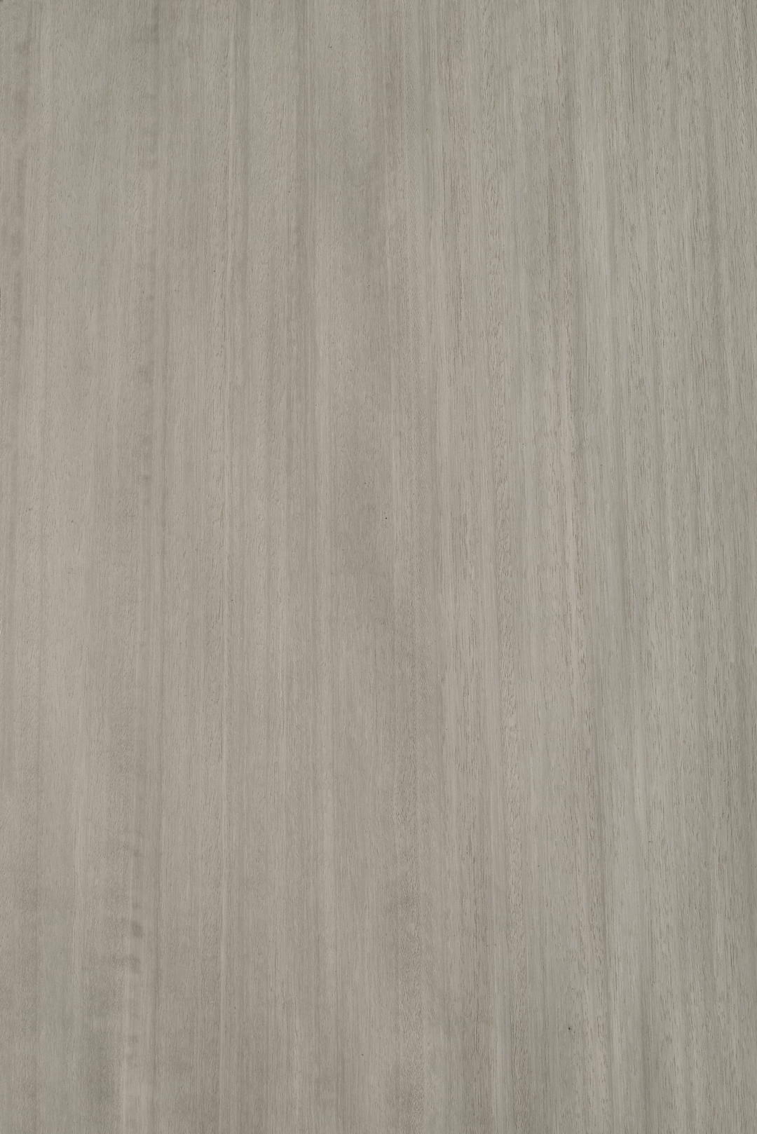 Collection 555.18 - Folder 8 Greige (Grey) | Tabu