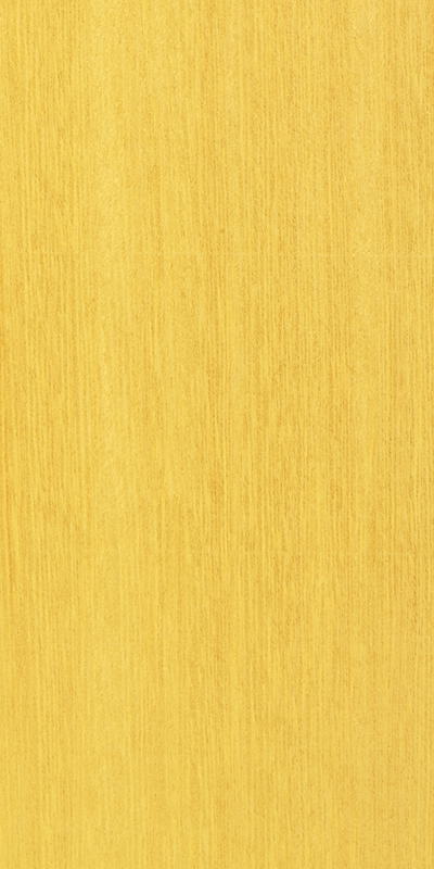 Collezione 555.18 – Folder 11 Yellow Green (Giallo, Verde) | Tabu