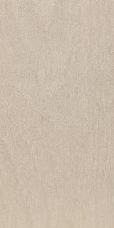 Collection 555.18 - Folder 8 Greige (Grey) | Tabu