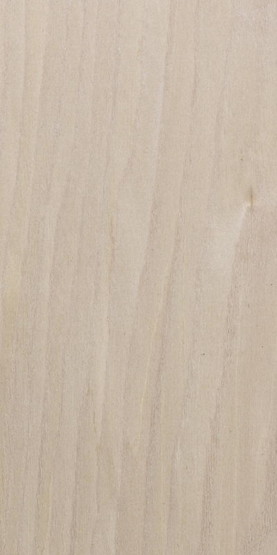 02_EARTH WONDER | Tabu