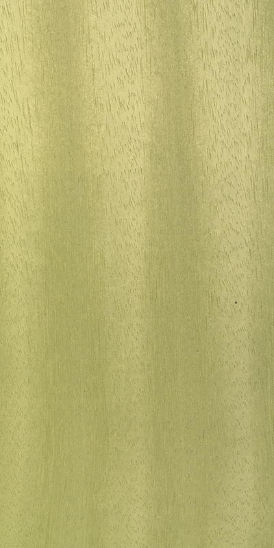 Collezione 555.18 – Folder 11 Yellow Green (Giallo, Verde) | Tabu